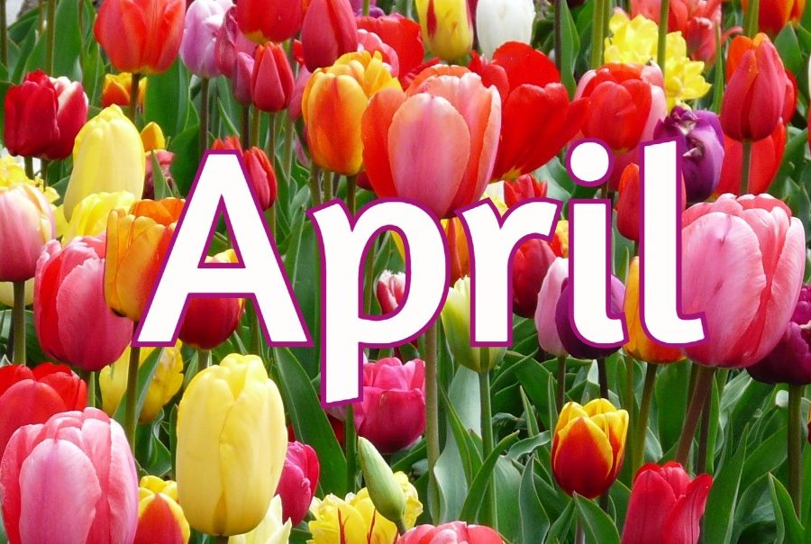 Events Archive - Tourism Windsor Essex Pelee Island